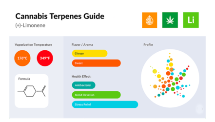 Limonene Terpene: Exploring its Uses and Benefits