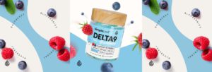 Buy Indica Gummies - Indica THC Gummies from Simple Leaf